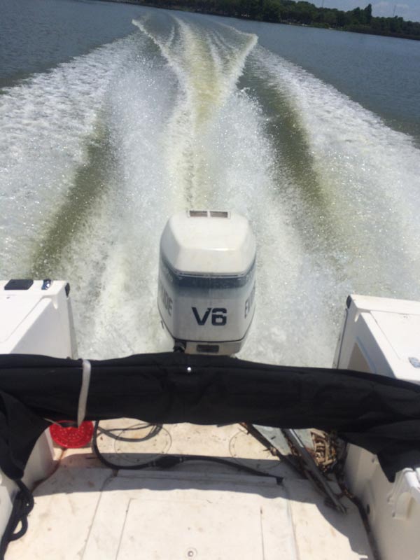 200 hp Evinrude Ocean Runner For Sale $4295.00