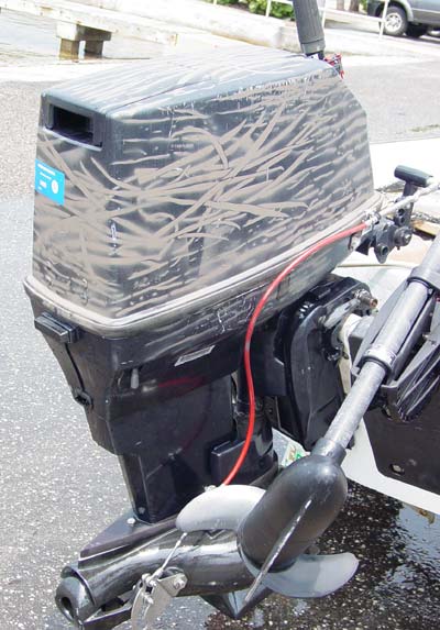 Evinrude 40/30 hp Jet Outboard