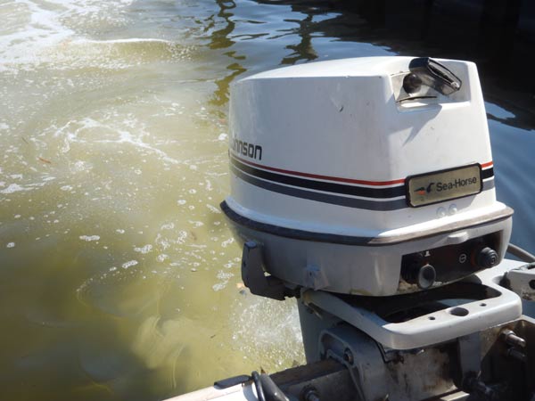 25 hp Johnson Outboard For Sale